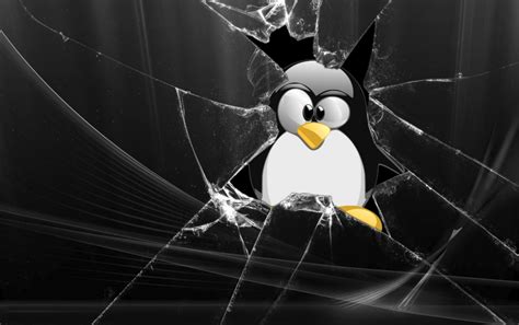 Experts List 15 Most Attacked Linux Vulnerabilities Gridinsoft Blogs