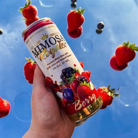 Perfect Food Combinations To Enhance The Flavor Of Our Canned Mimosas