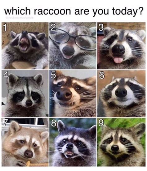 20 How Are You Memes Ideas How Are You Feeling Feelings Chart Memes