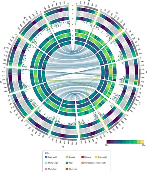 Durum Wheat Genome Highlights Past Domestication Signatures And Future