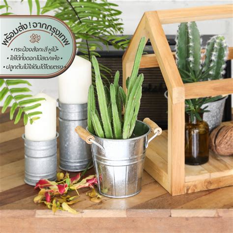 Small Plant Pot กระถาง ที่ใส่ ต้นไม้ อุปกรณ์ เครื่องเขียน ช้อน ส้อม