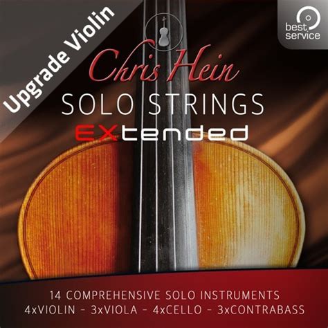 Chris Hein Solo Strings Complete Upgrade Violin Best Service