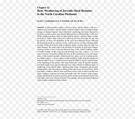 Difference Between General Election Hd Png Download Vhv