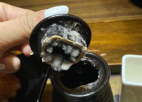 居酒屋醬油瓶長滿黴菌！「毛茸噁照」眾崩潰 店家道歉了 新奇 Nownews今日新聞