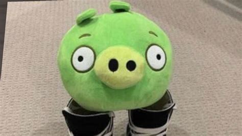 Pengu Pengu The Firsts Profile