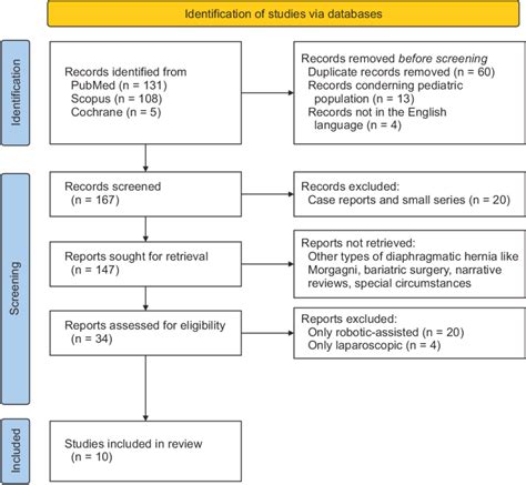 flow chart of the search strategy algorithm and the data extraction