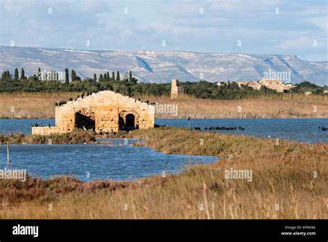 Riserva Naturale Orientata Oasi Faunistica Di Vendicari Stockfotos Und