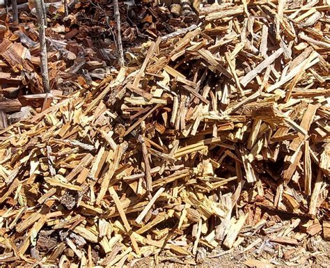 Kindling Bagged Firewood Splitting Blocks Wood U Like It Firewood