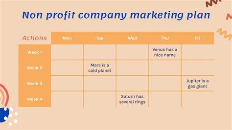 Non Profit Company Marketing Plan Infographics