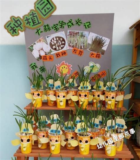 幼兒園創意生態植物角種植區欣賞 每日頭條