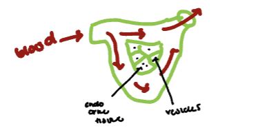 Lab 8 Prelab Flashcards Quizlet