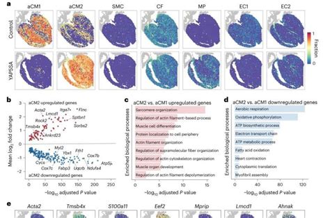 Targeting The Microenvironment Rather Than A Specific Cell Type Could