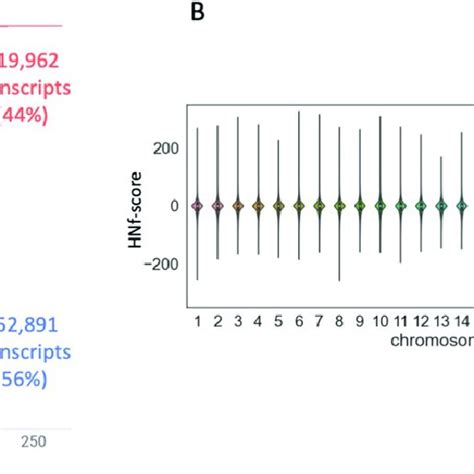 Hypoxia Normoxia Hn Score Of Coding And Noncoding Genes Hnf Score Download Scientific