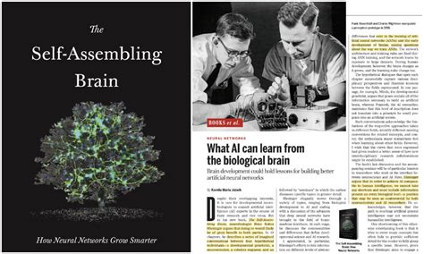 Book Reviews ‘the Self Assembling Brain The Future Benefits For Ai