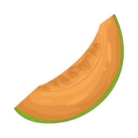 Illustration Of Melon Slice 54110154 Vector Art At Vecteezy