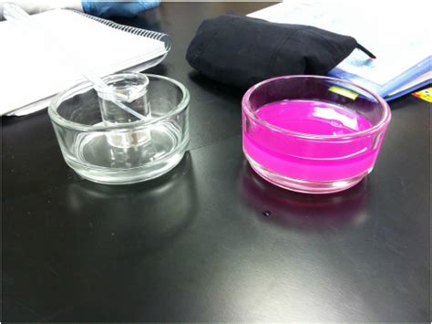 Osmosis And Diffusion Jeremy Boudah S AP Biology Lab Notebook