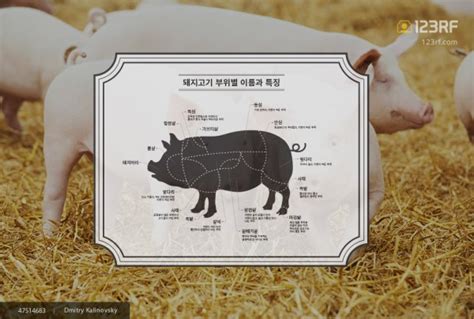 돼지고기 부위와 요리의 종류에 대해 알아봅시다 레시피 건강한사료