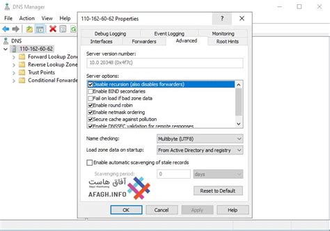 Dns Server و غیر فعال سازی Recursion آفاق هاست