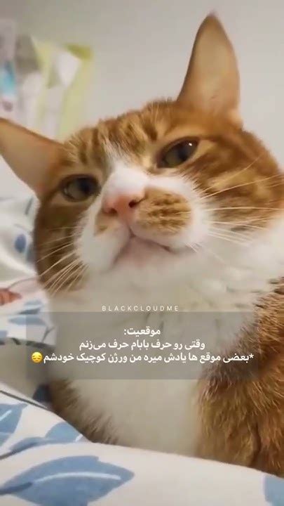 دوست داشتی ساب کن طنز Youtube