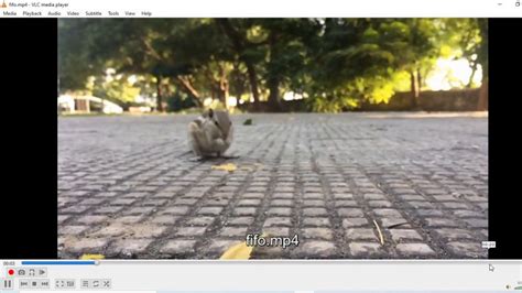Exploring Moviepy Module Video Editing With Python Moviepy Tutorial