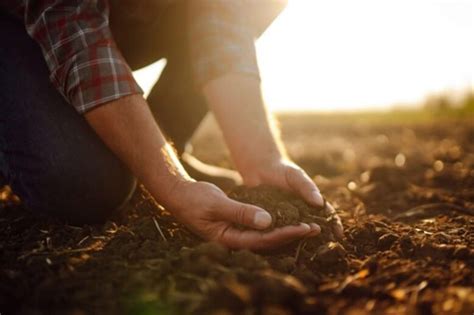 Agricultura de subsistência entenda o que é como funciona e desafios