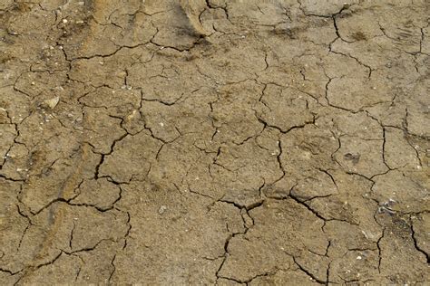 How To Break Up Compacted Soil Is It Possible Farmer Grows