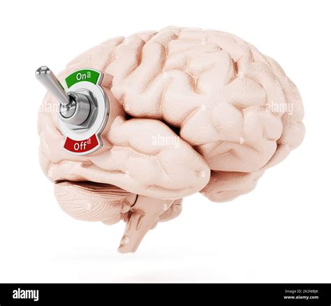 Human Brain With On Off Button Isolated On White Background 3d
