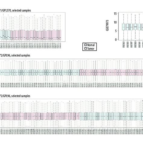 Relationship Of The Borrmann Classification With Other Subsequent Download Scientific Diagram