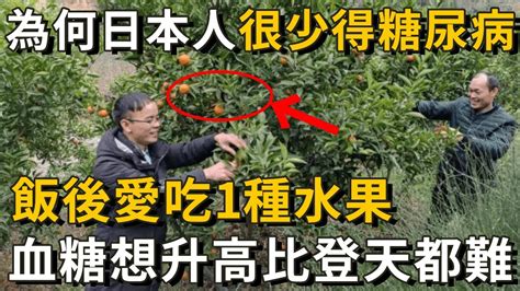 為何日本人很少得糖尿病？日本血糖專家揭曉答案！飯後愛吃1種水果，糖尿病這輩子都不會找你，比吃降糖藥還有效20倍！丨養之道 Youtube