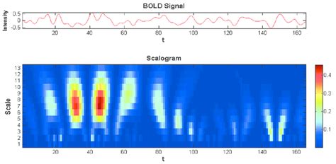 BOLD Signal And Its Respective Scalogram BOLD Signal Had A Duration Download Scientific