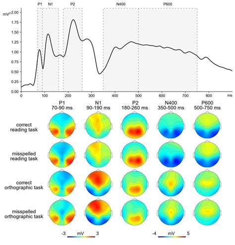 Top Global Field Power Gfp All Electrodes Averaged Across Tasks And Download Scientific