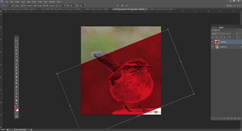 Solved How Do I Create This Please Adobe Support Community 12939065