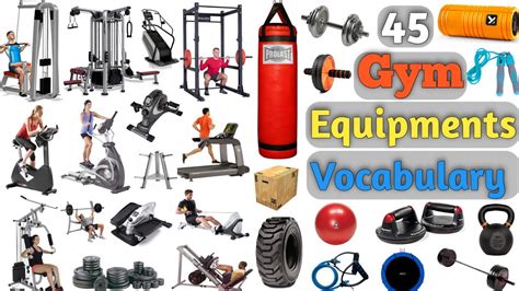 Home Gym Equipment At Rs 4500 Commercial Gym Equipment In 57 Off