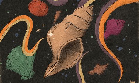 30 Best Shell Illustration Ideas You Should Check