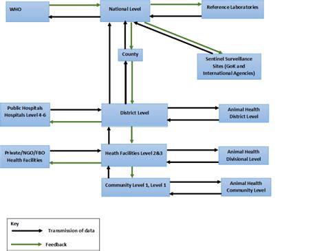 The Idsr Disease Surveillance System In Kenya Dr Kelvin Momanyi