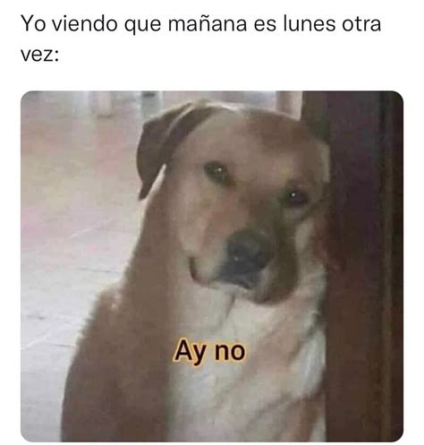 Yo viendo que mañana es lunes otra vez Ay no Memes