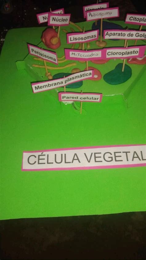 Pin On Pines Creados Por Vos