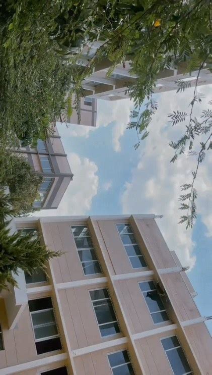 Vidya Vikas First Grade College Vidya Vikas College • Instagram