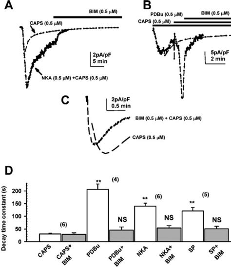 Effect Of A Pkc Inhibitor On Nks Substance P Sp βala8 Neurokinin