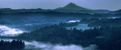 Anne Leigh Parrish Fiction Writer Pacific Northwest Award Winning Writer And Poet