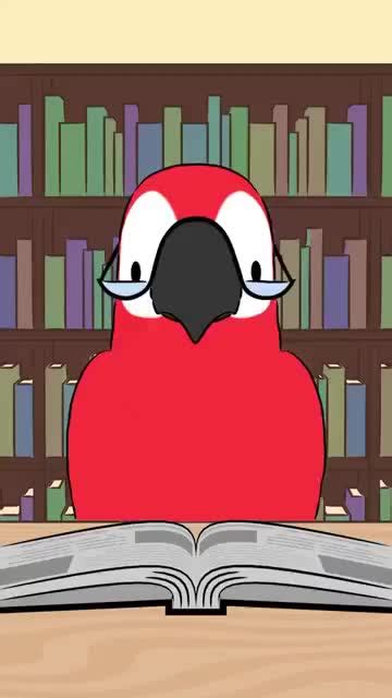 Browsing Imgur After Midnight Album On Imgur