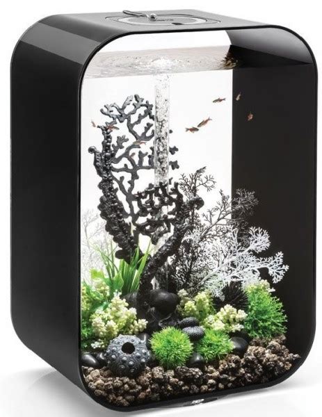 Oase Biorb Life 60 Mcr Schwarz Oase Wassergarten De Oase Teichshop