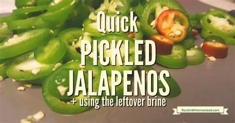 Quick Pickled Jalapenos How To Use The Juice Rockin W Homestead