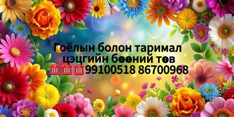 Өвөрхангай аймаг Өвөрхангай аймаг дахь салбар танхим
