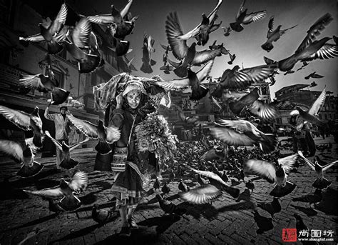 国际影赛获奖作品欣赏 第二百八十七期 尚图坊国际摄影 尚图坊影像