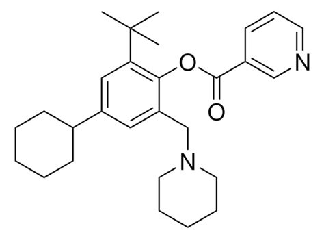 2 TERT BUTYL 4 CYCLOHEXYL 6 1 PIPERIDINYLMETHYL PHENYL NICOTINATE