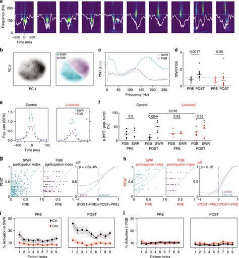 Local Field Potential Correlates Of Pattern Activation And Place Cell