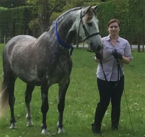 Dianne Wright Icarus Talent Ltd