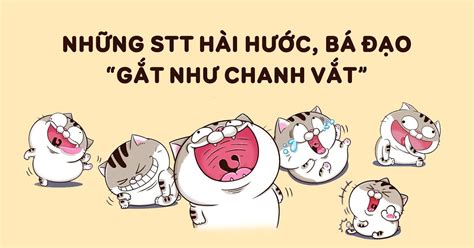 500 Stt đăng ảnh Hài Hước Với Nhiều Phong Cách Khác Nhau