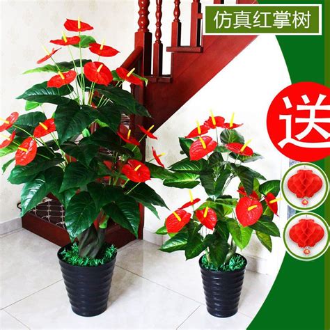 结婚用什么盆栽花 结婚送什么植物好 刚结婚送什么盆栽好 大山谷图库